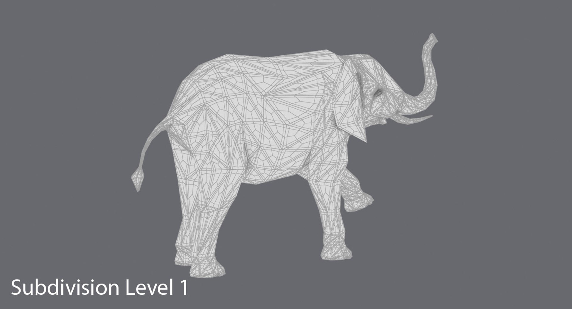 Elephant---trunk-up 3D Model - TurboSquid 1193204