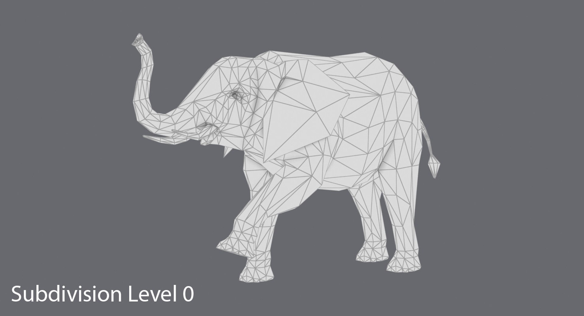 Elephant---trunk-up 3D Model - TurboSquid 1193204