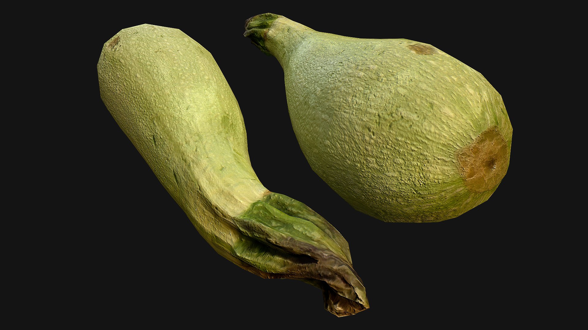3D Model Marrow - TurboSquid 1917945
