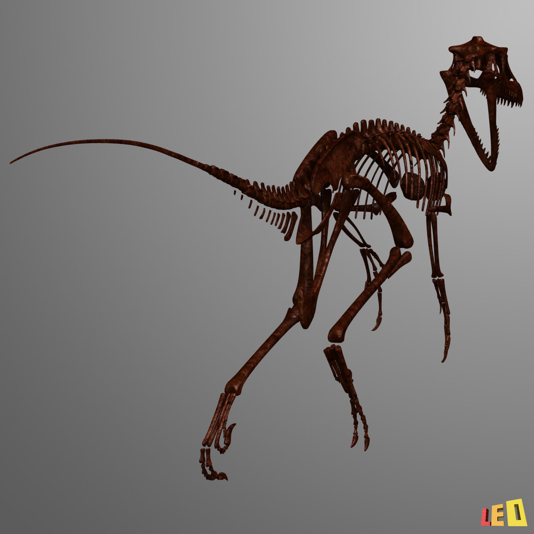 3d model dino skeleton dromaeosaurus