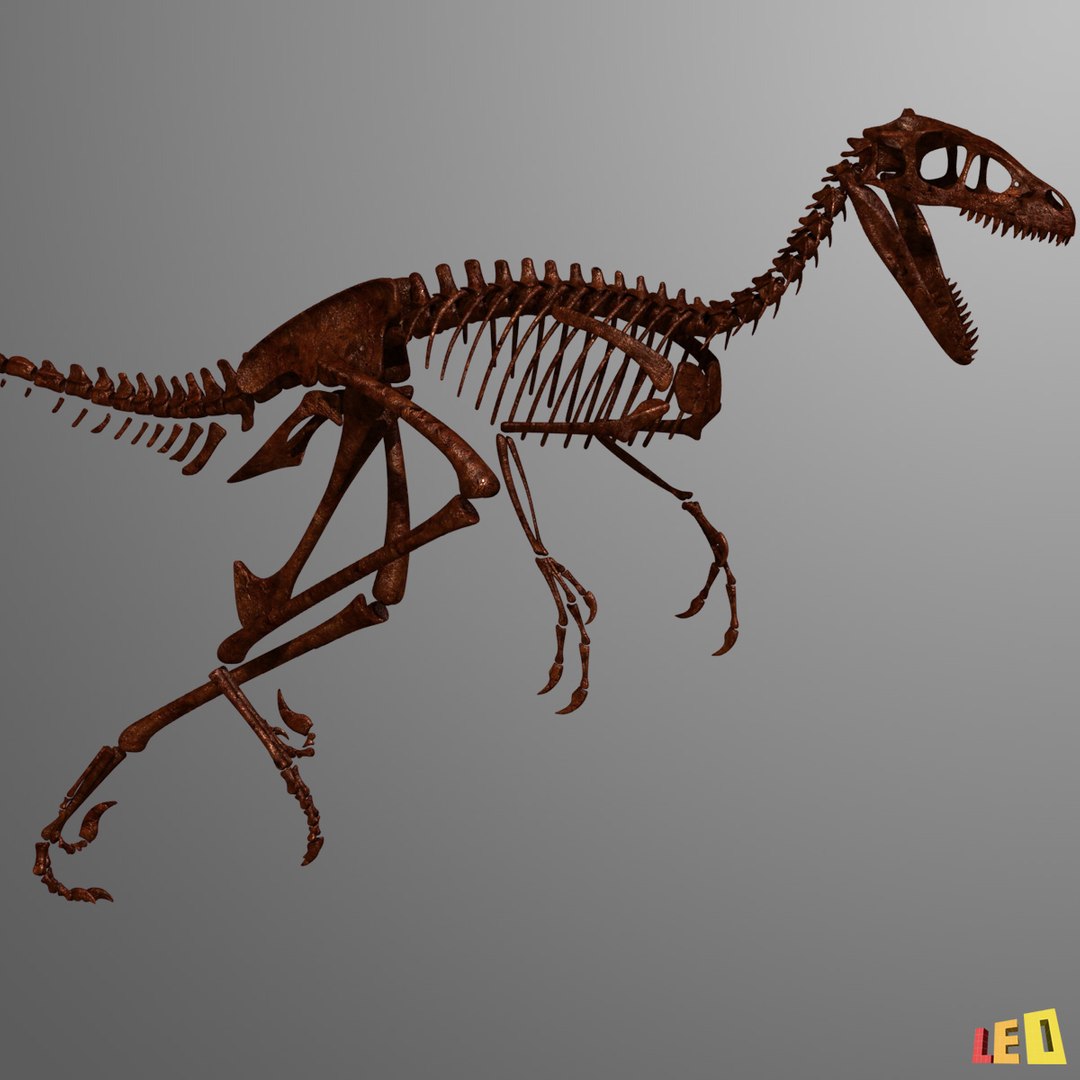 3d model dino skeleton dromaeosaurus