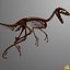 3d Model Dino Skeleton Dromaeosaurus