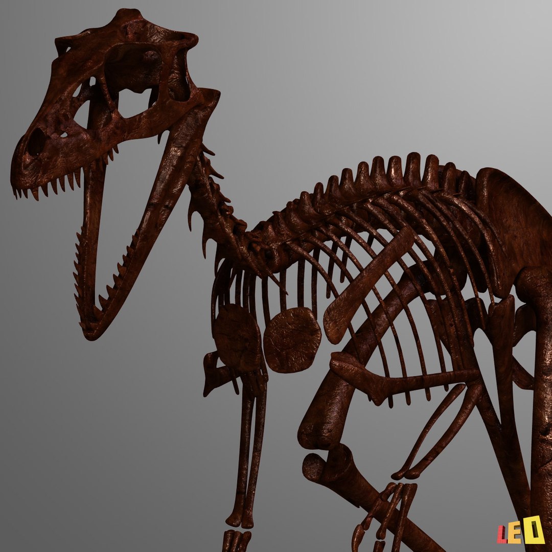 3d Model Dino Skeleton Dromaeosaurus