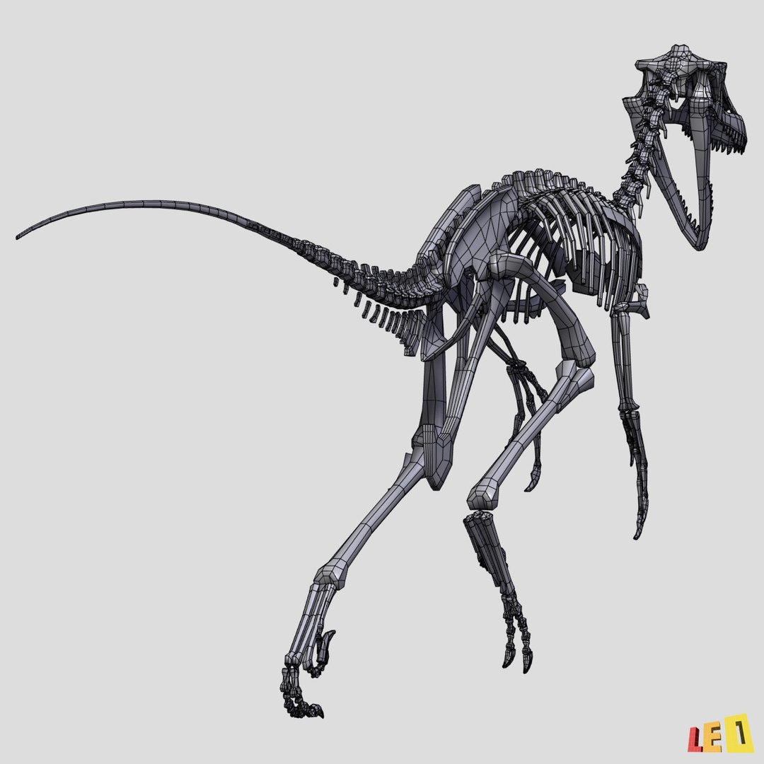 3d Model Dino Skeleton Dromaeosaurus