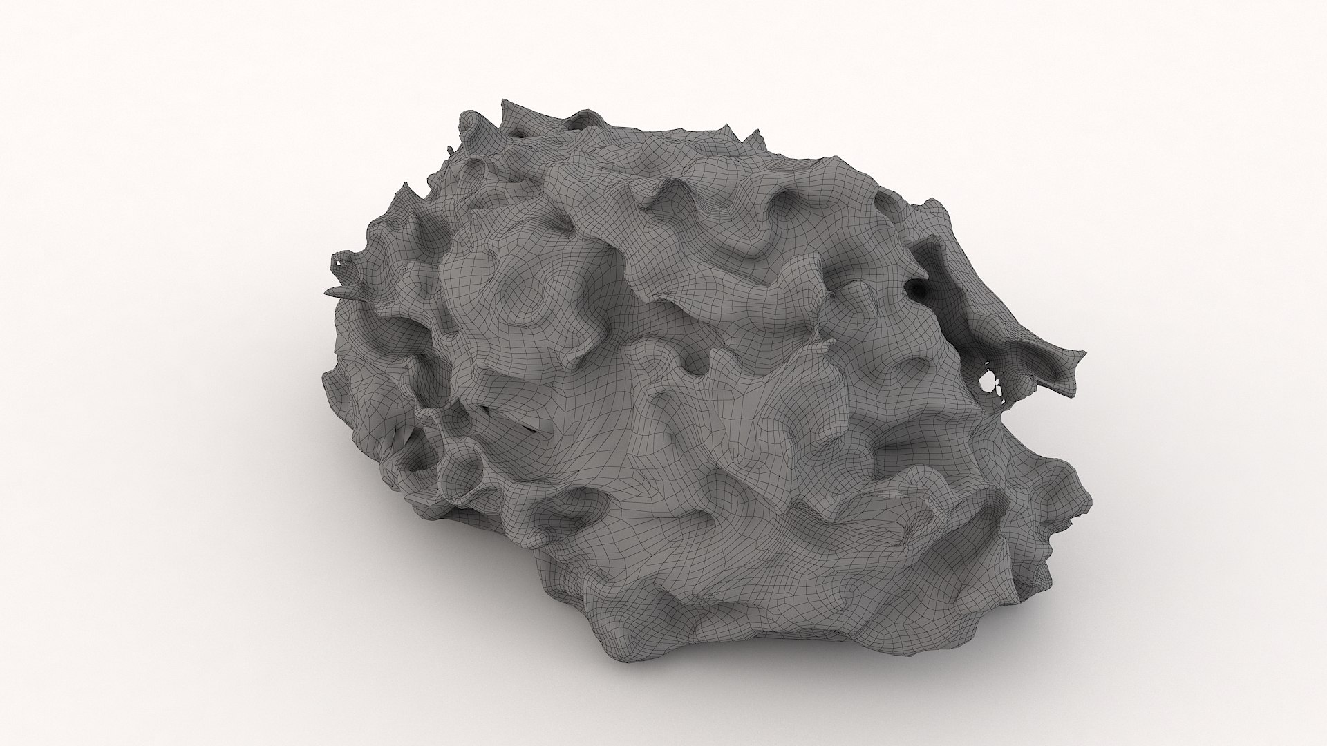 Salad Head Lettuce 3D Model - TurboSquid 1497325