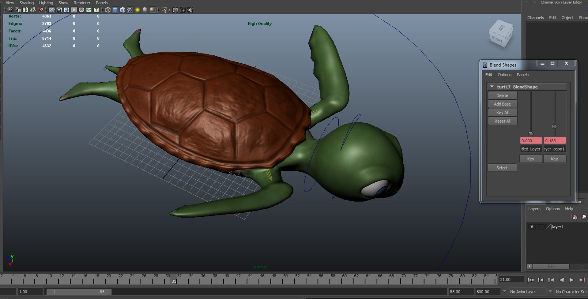 3d Model Turtle