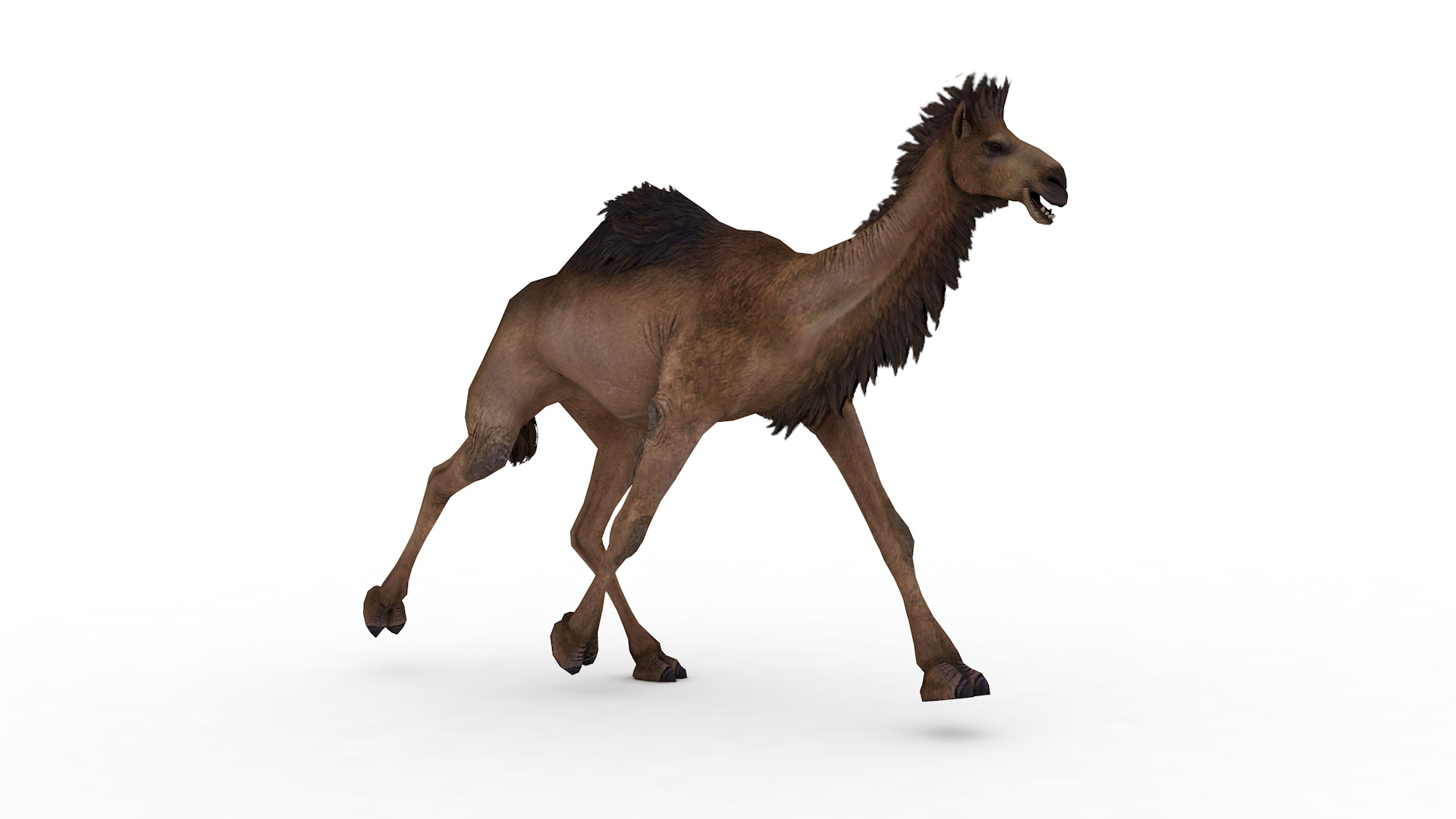 3D Camel Rigged And Animated - TurboSquid 2348131