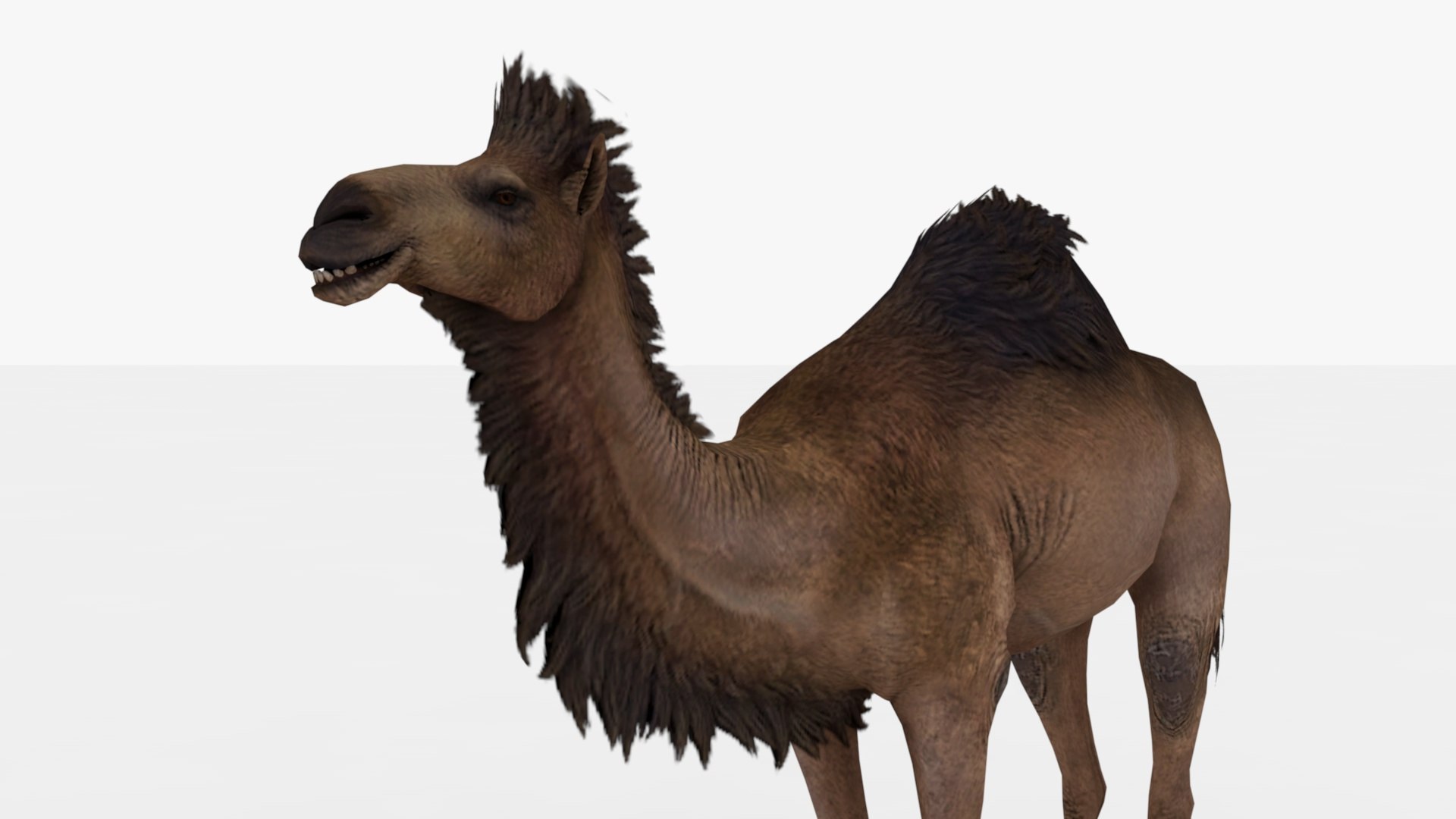 3D Camel Rigged And Animated - TurboSquid 2348131