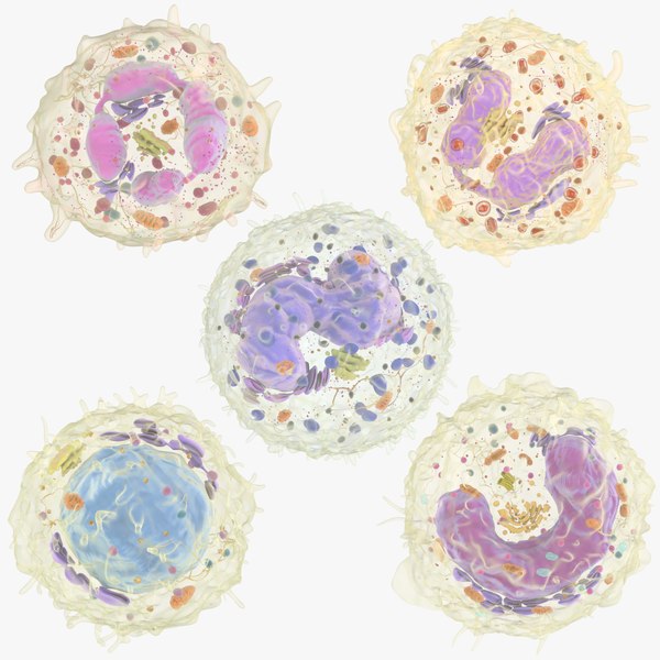 Des Modèles Collection de 3D Cellule Sanguine à Télécharger | TurboSquid