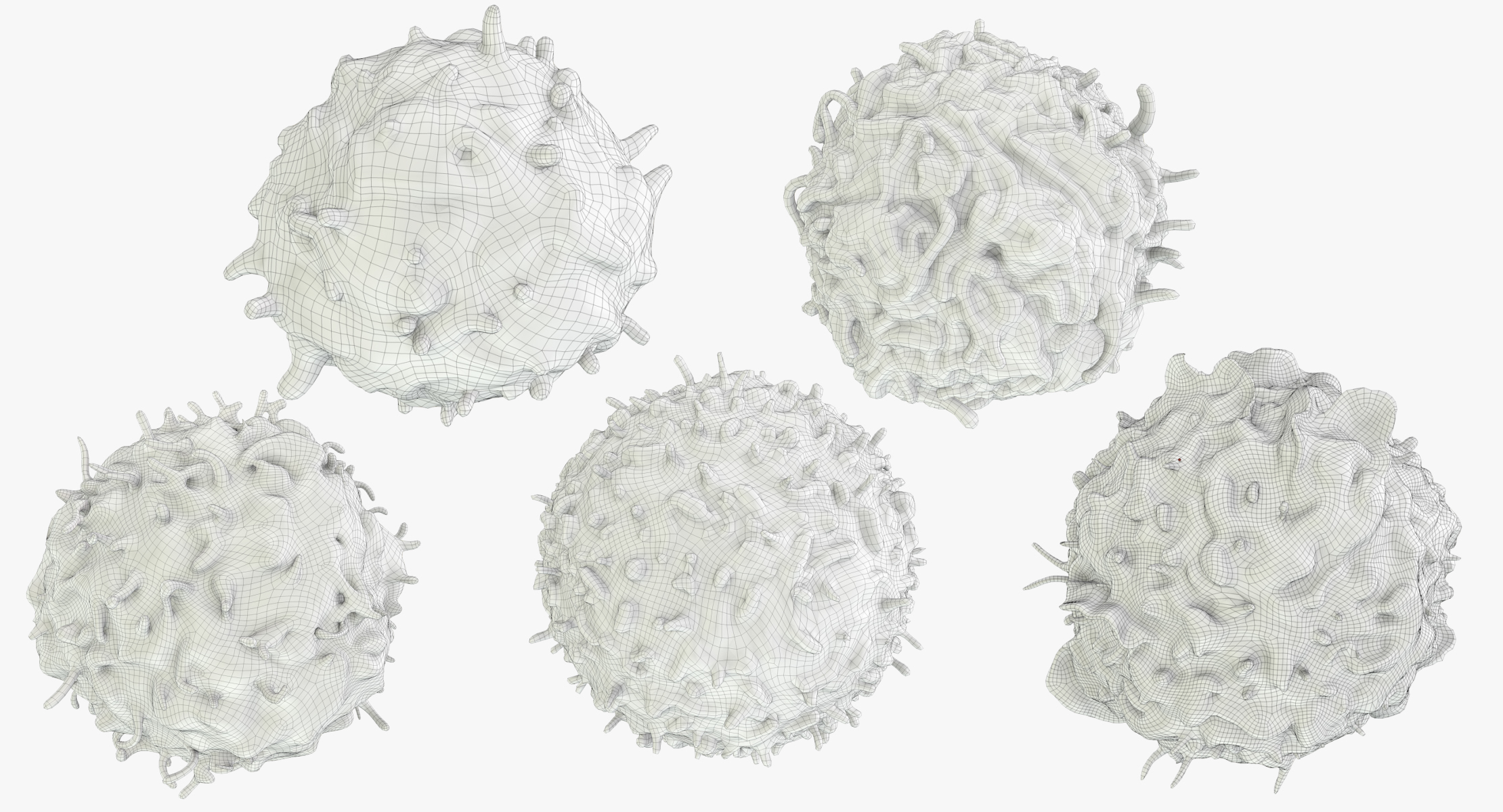 White blood cells 3D model - TurboSquid 1263749