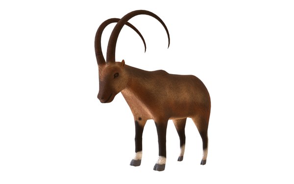 Ibex 3D Models for Download | TurboSquid