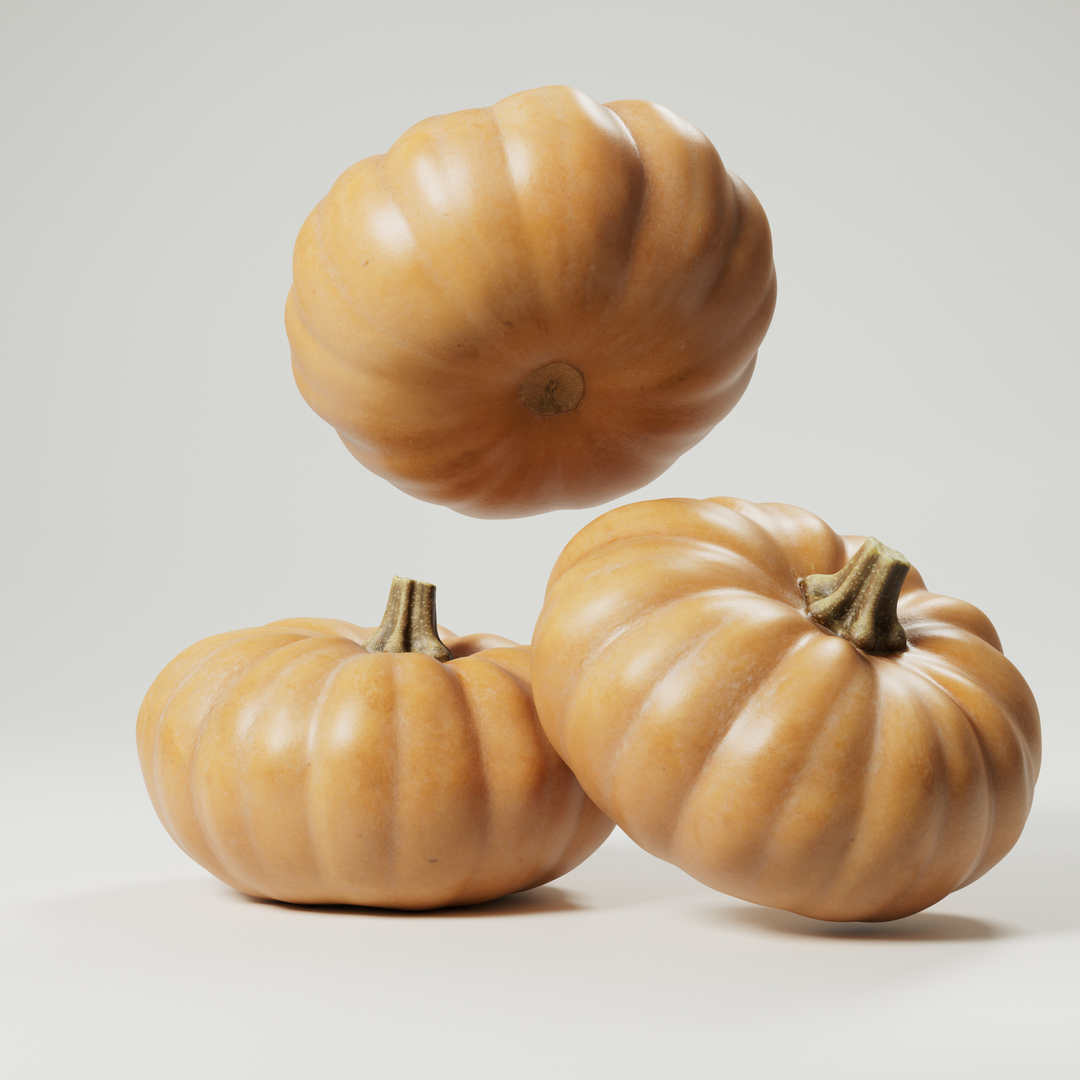 3D Pumpkin Model - TurboSquid 1974937