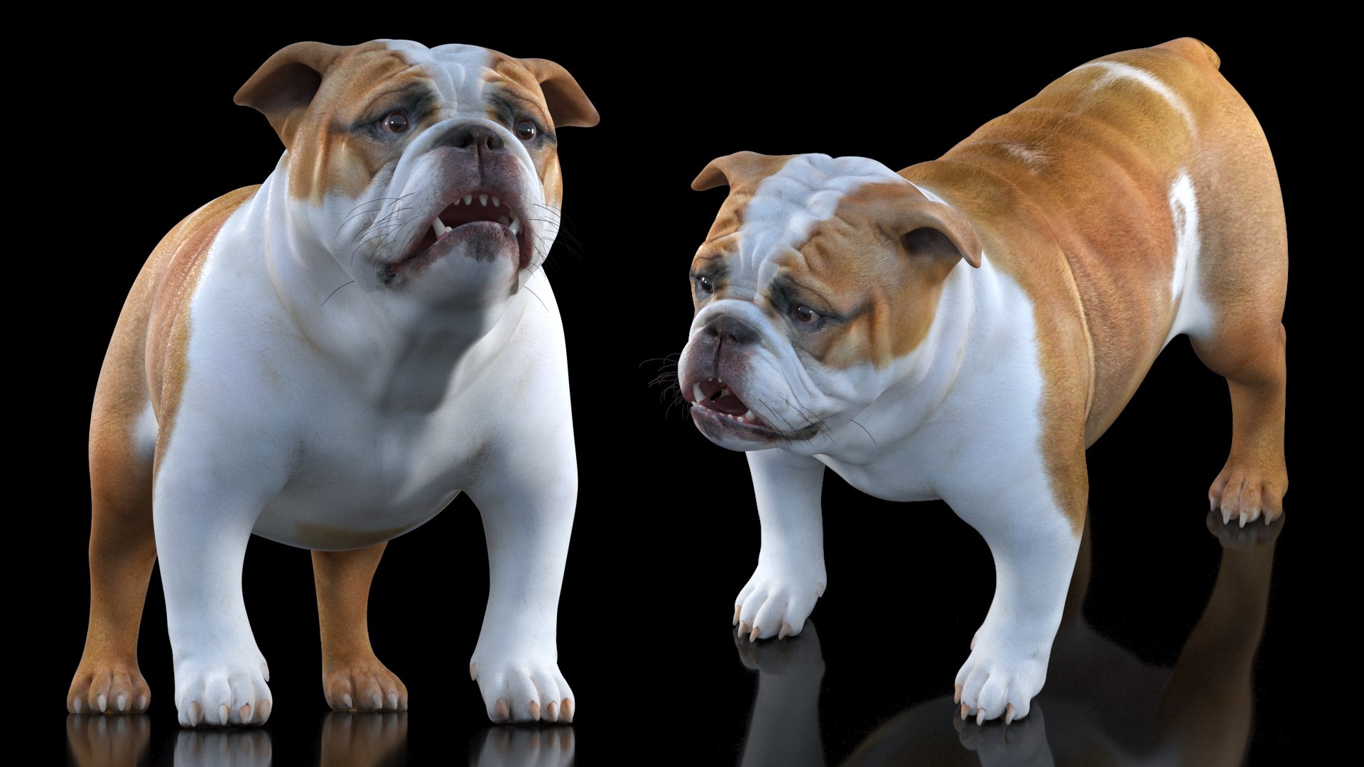 Bulldog 3D model - TurboSquid 2177593