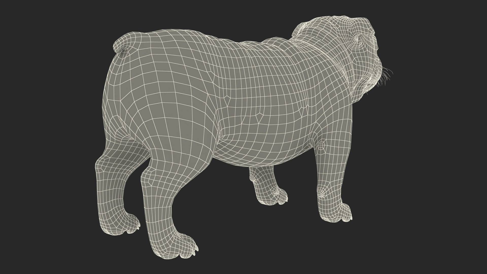 Bulldog 3D model - TurboSquid 2177593