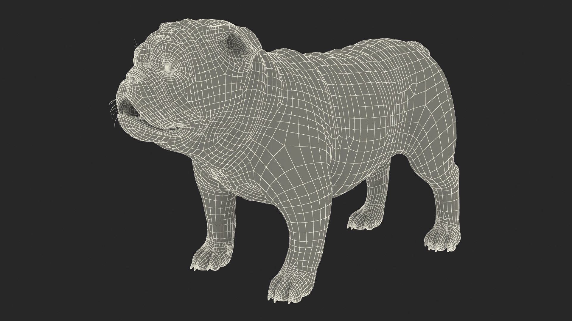 Bulldog 3D model - TurboSquid 2177593