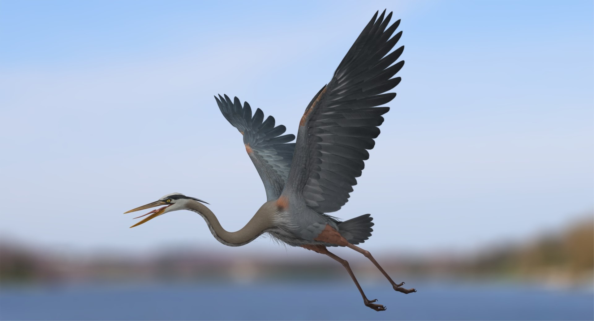 ardea herodias great blue heron obj