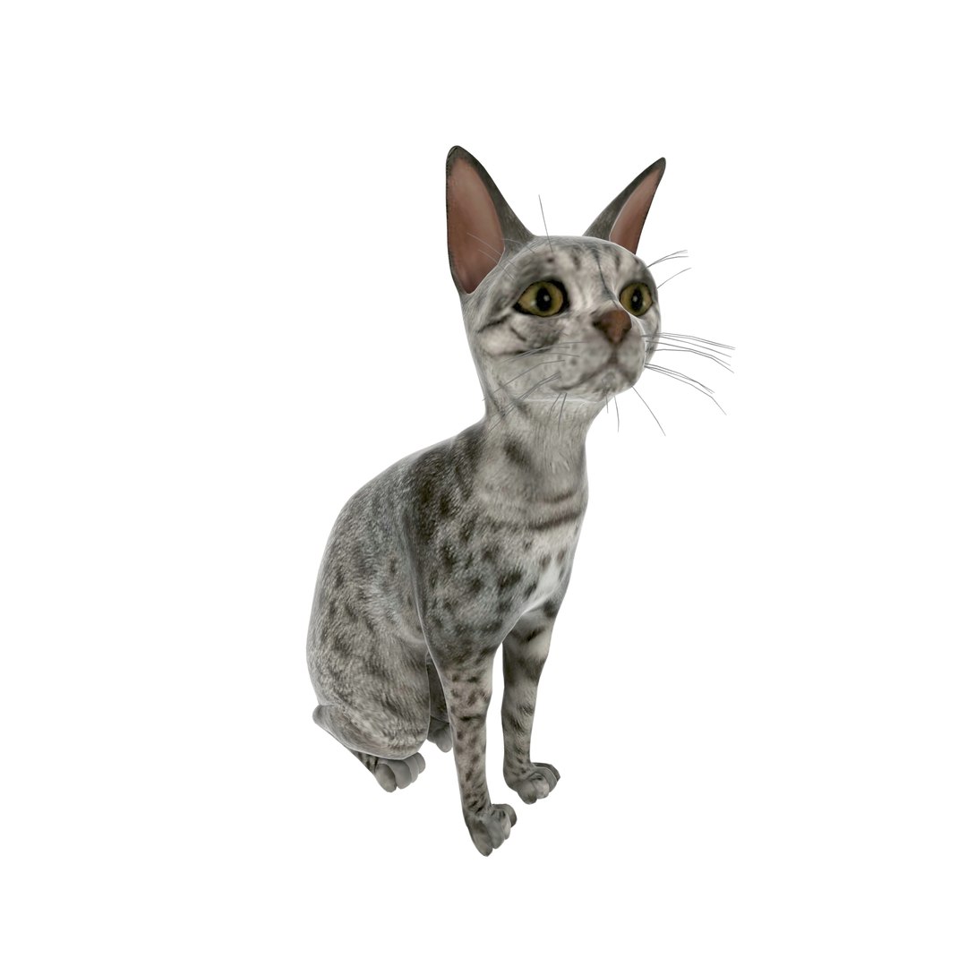 Cat Model 3DS MAX OBJ 3D Model - TurboSquid 2287936