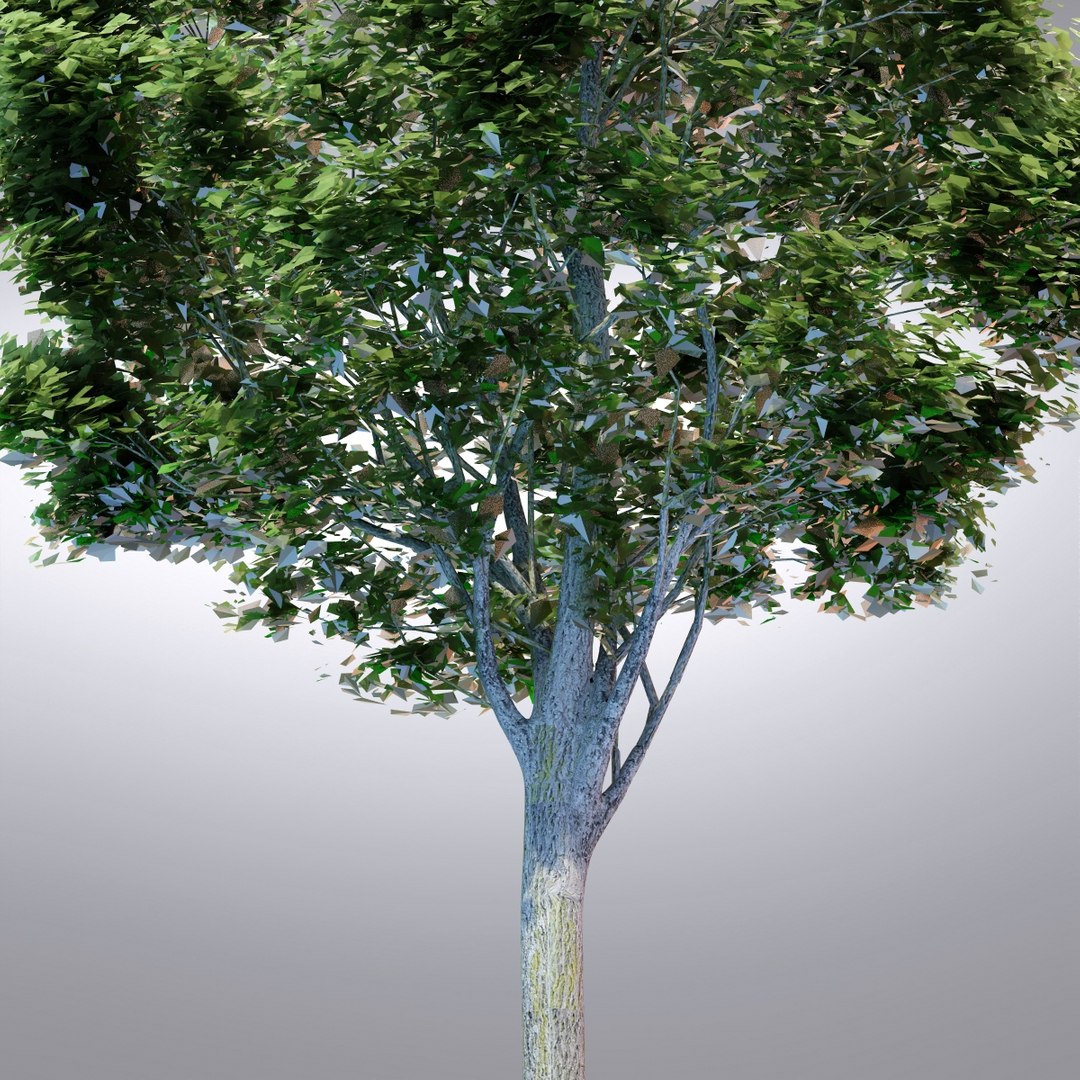3d Hi Realistic Series Tree