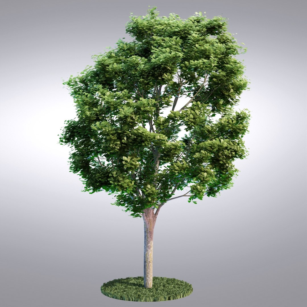 3d Hi Realistic Series Tree
