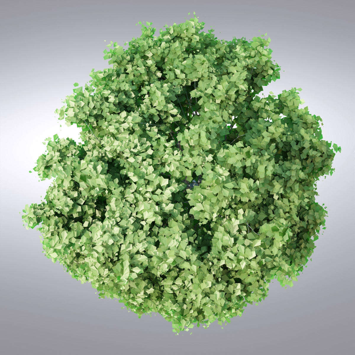 3d hi realistic series tree