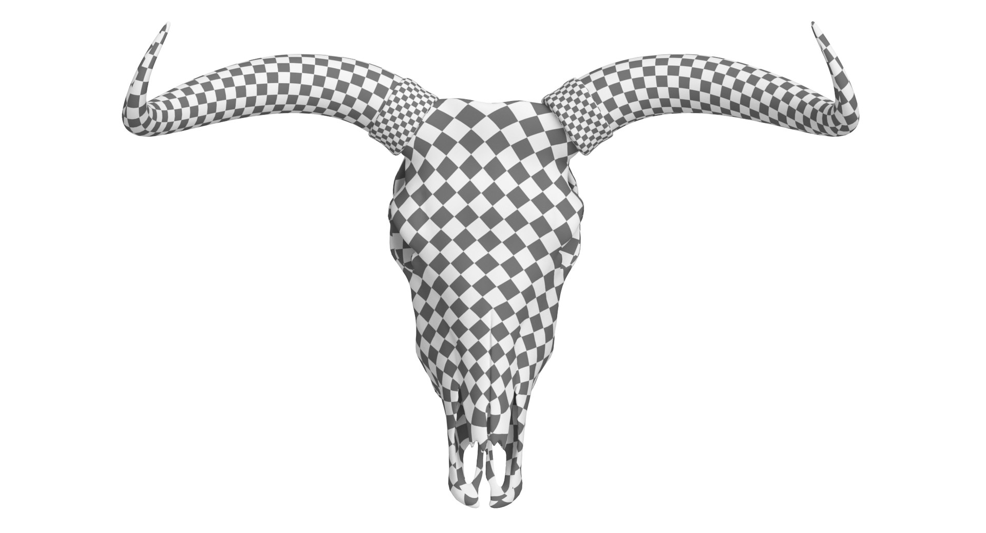 3D Cattle Cow Skull And Horns - TurboSquid 2292946