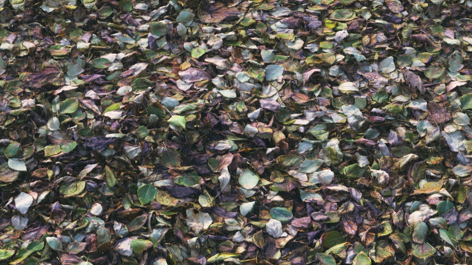 3D Autumn Foliage Material 01 - TurboSquid 1966491