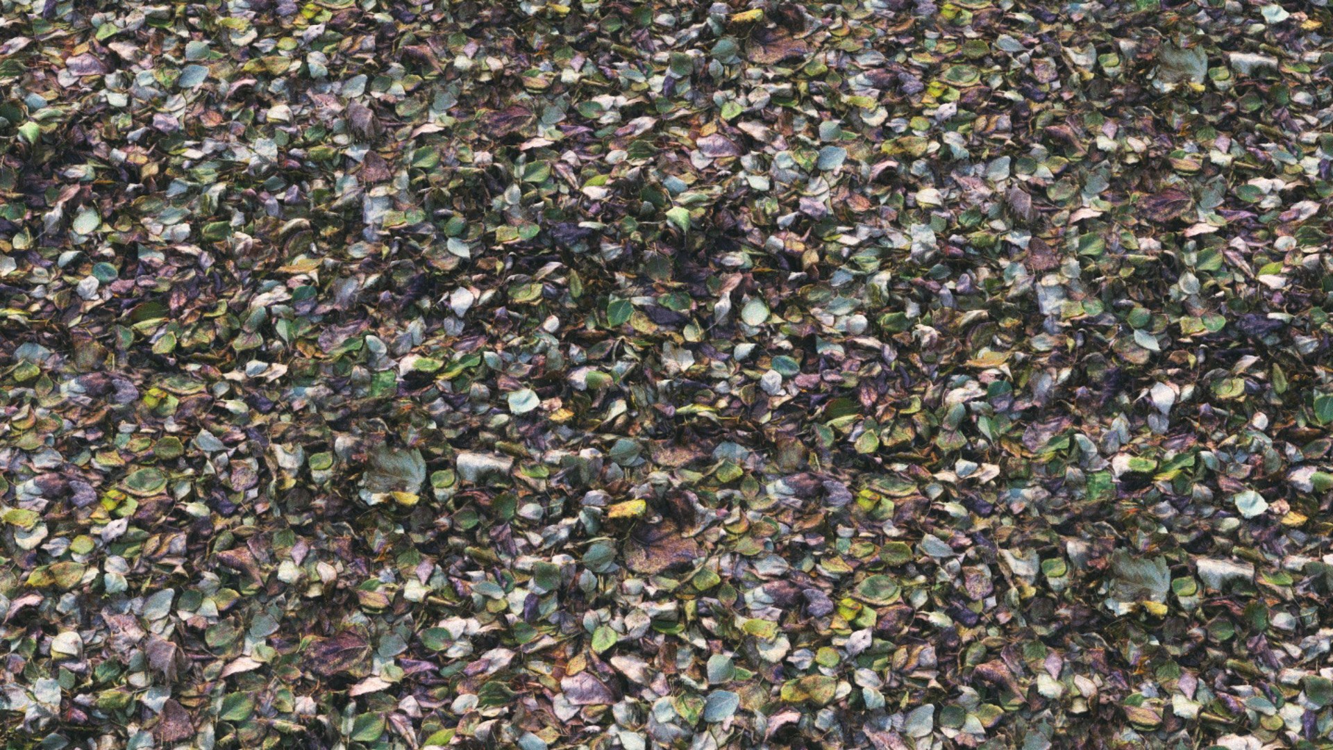 3D Autumn Foliage Material 01 - TurboSquid 1966491