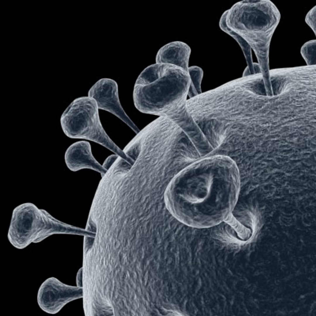 Hiv Aids Virus Cell 3d Model