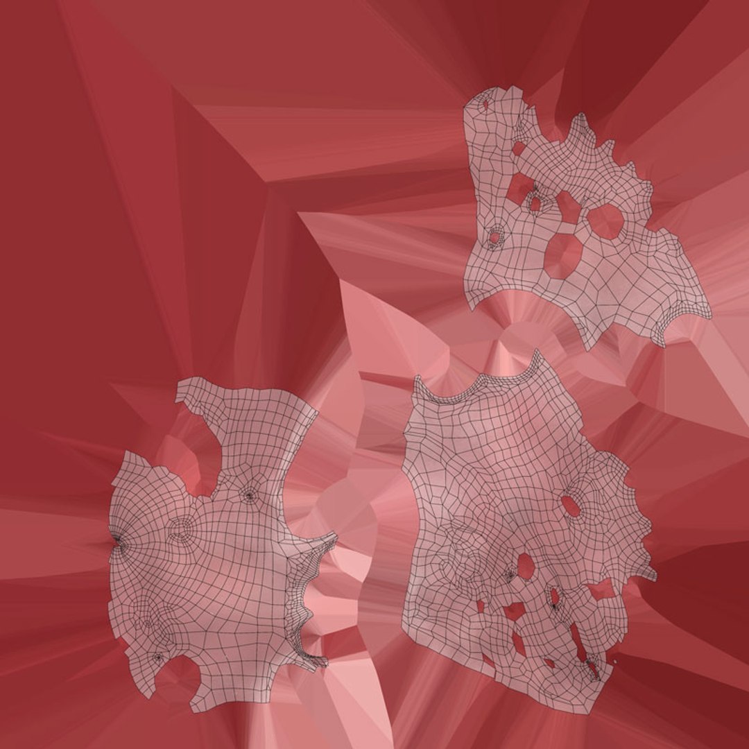 Human Heart Anatomy Animated - Transverse Section 3D Model - TurboSquid ...