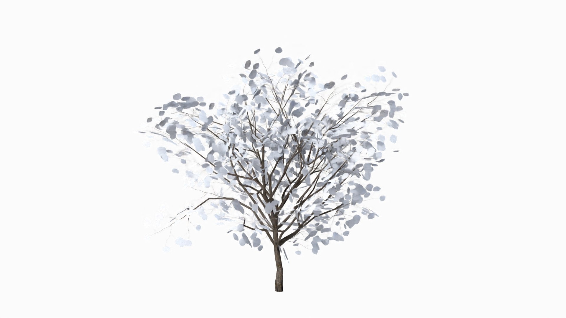 3D Jacaranda Winter Model - TurboSquid 1619208