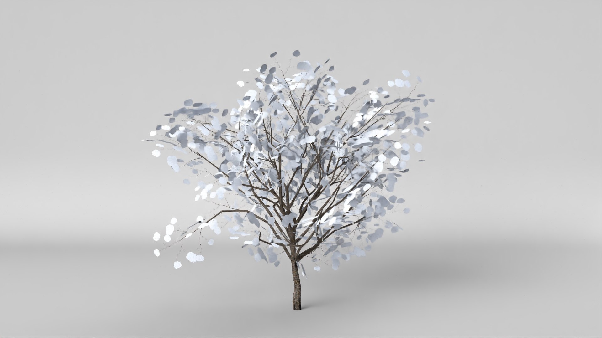 3D Jacaranda Winter Model - TurboSquid 1619208