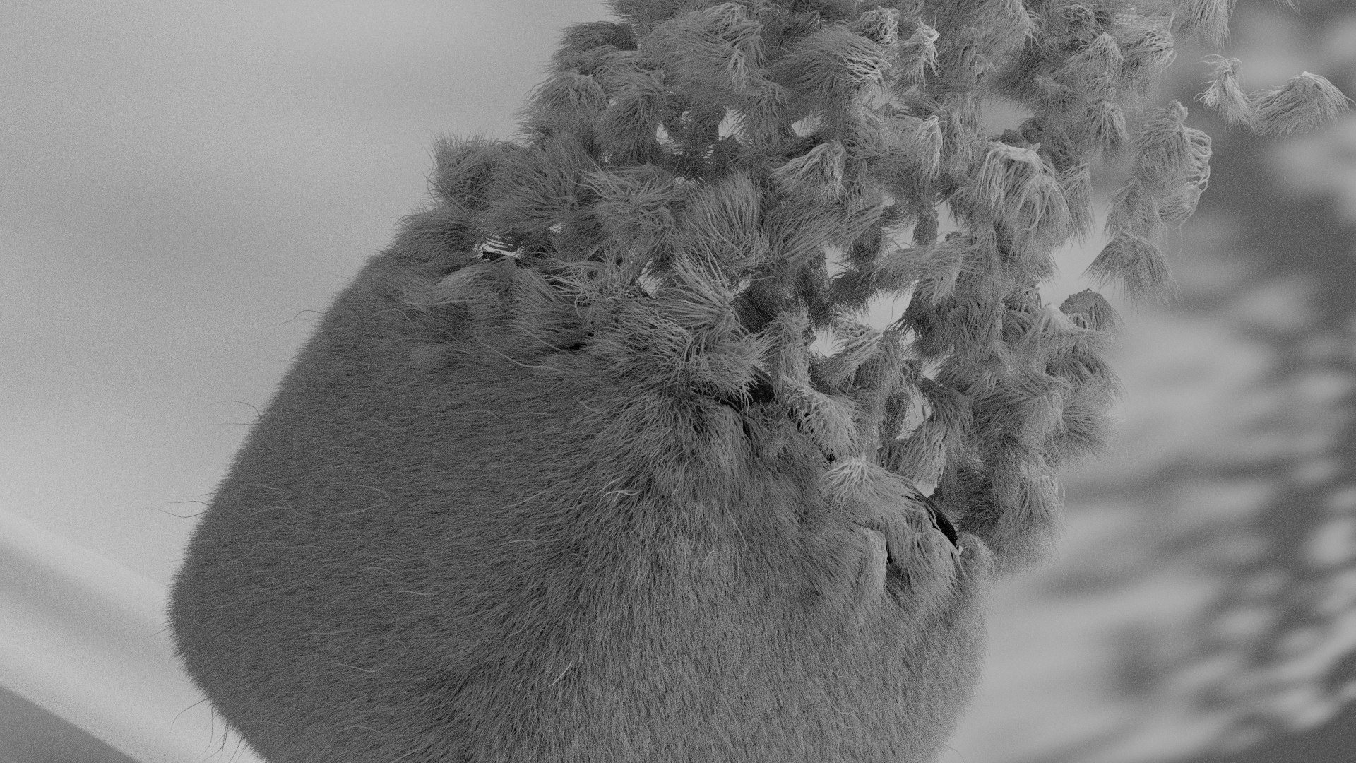 Furry Cube Animation 3D - TurboSquid 2231993