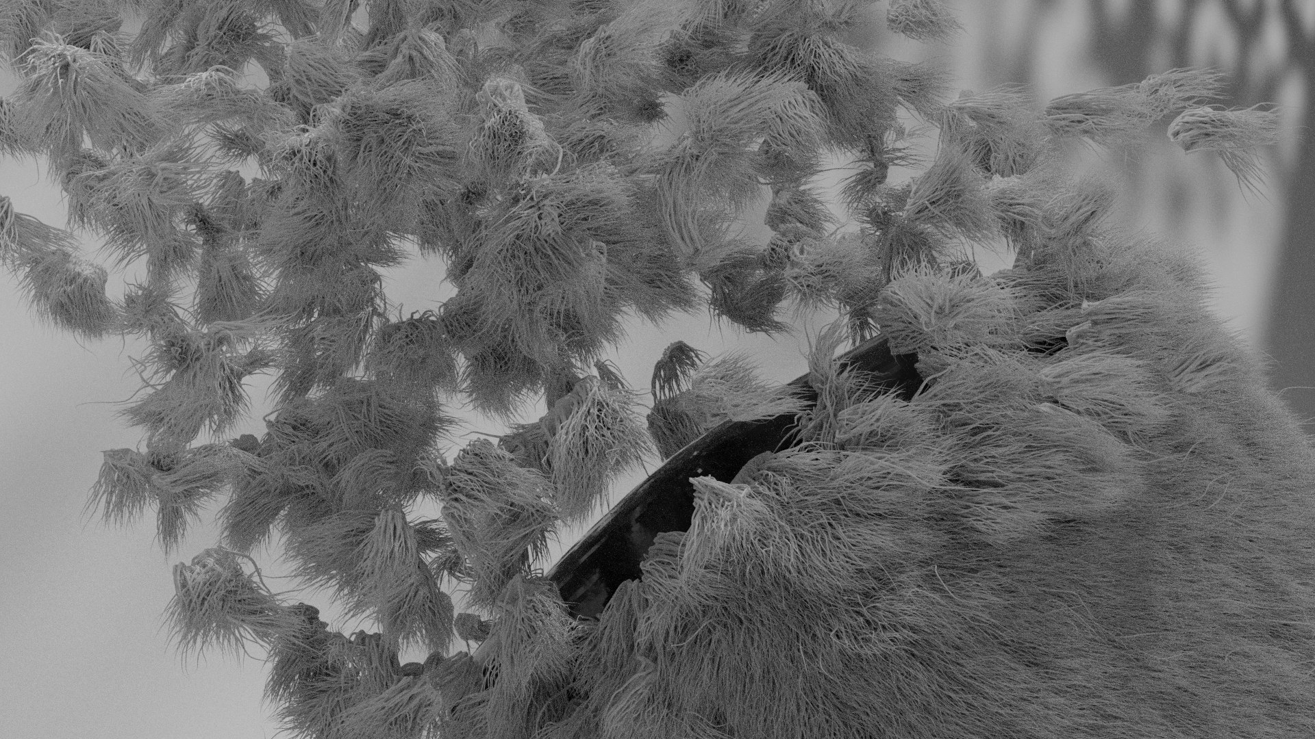 Furry Cube Animation 3D - TurboSquid 2231993