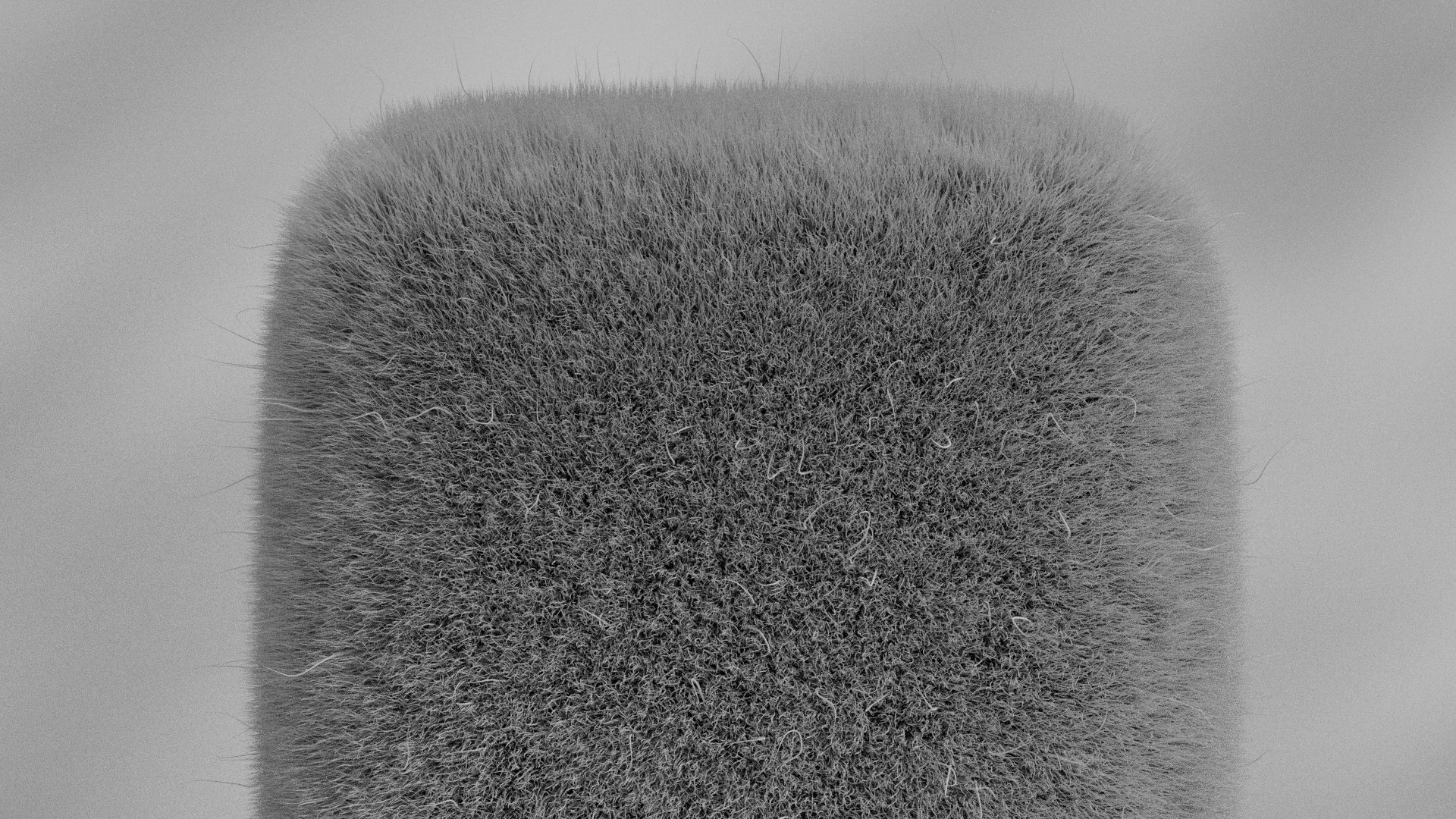 Furry Cube Animation 3D - TurboSquid 2231993