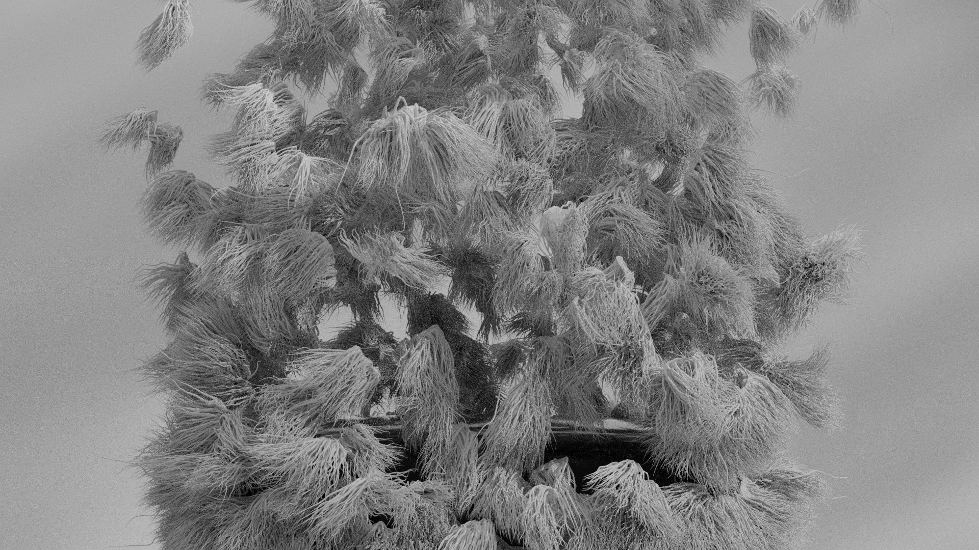 Furry Cube Animation 3D - TurboSquid 2231993