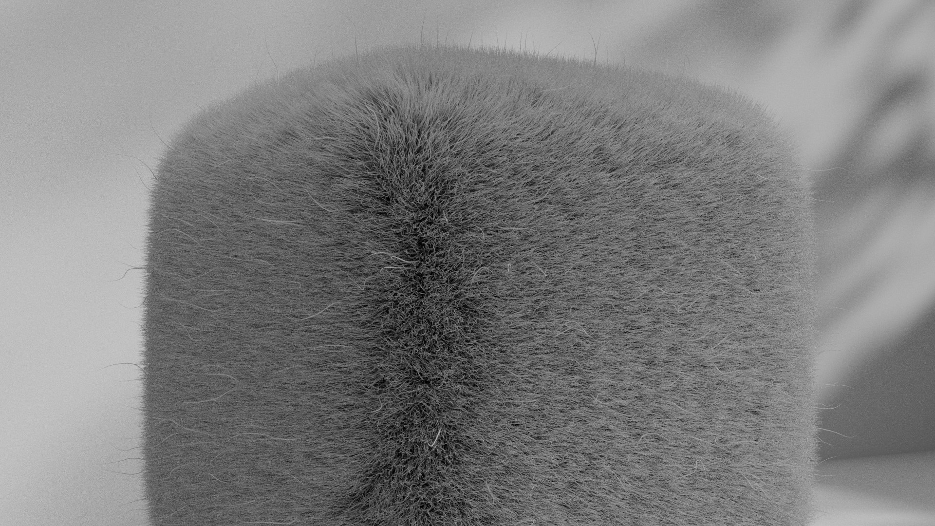 Furry Cube Animation 3D - TurboSquid 2231993