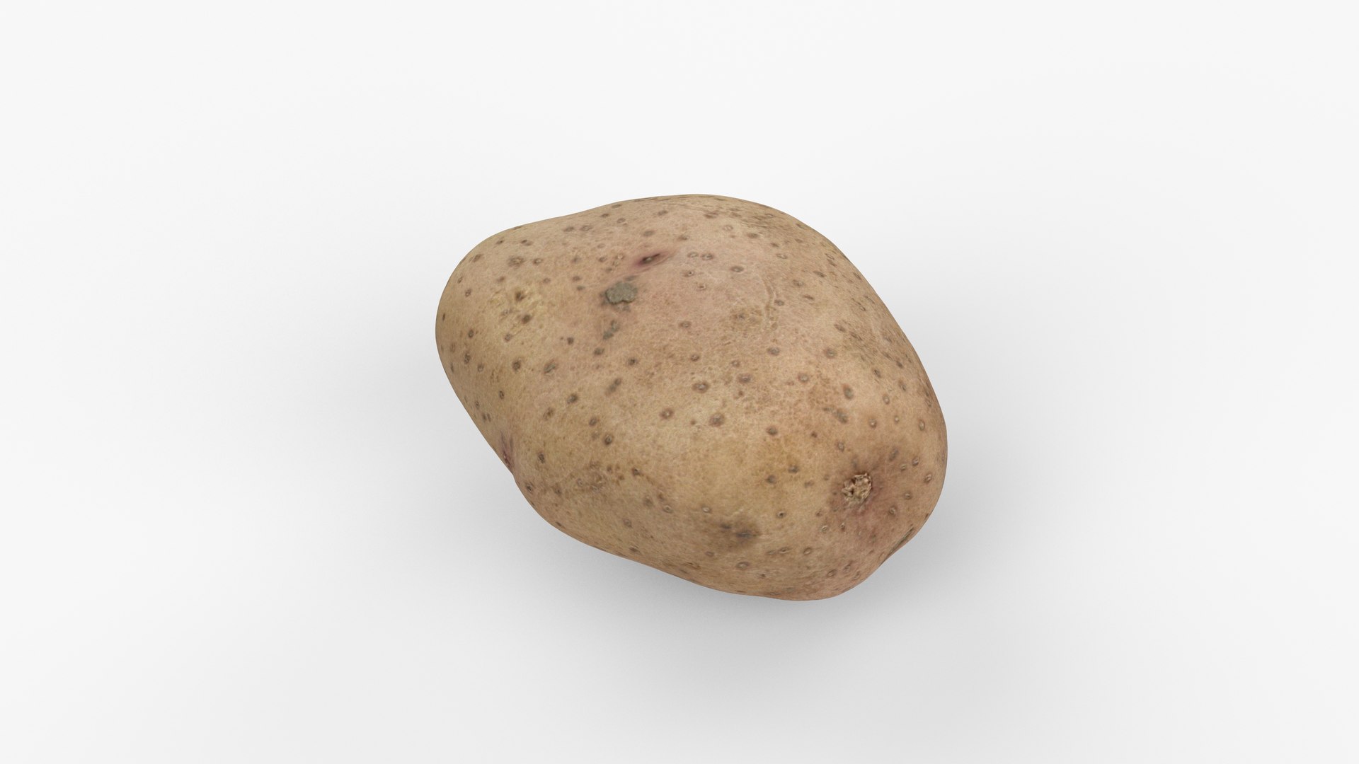 3D Photorealistic 3D Scan Of Potato - TurboSquid 2231913