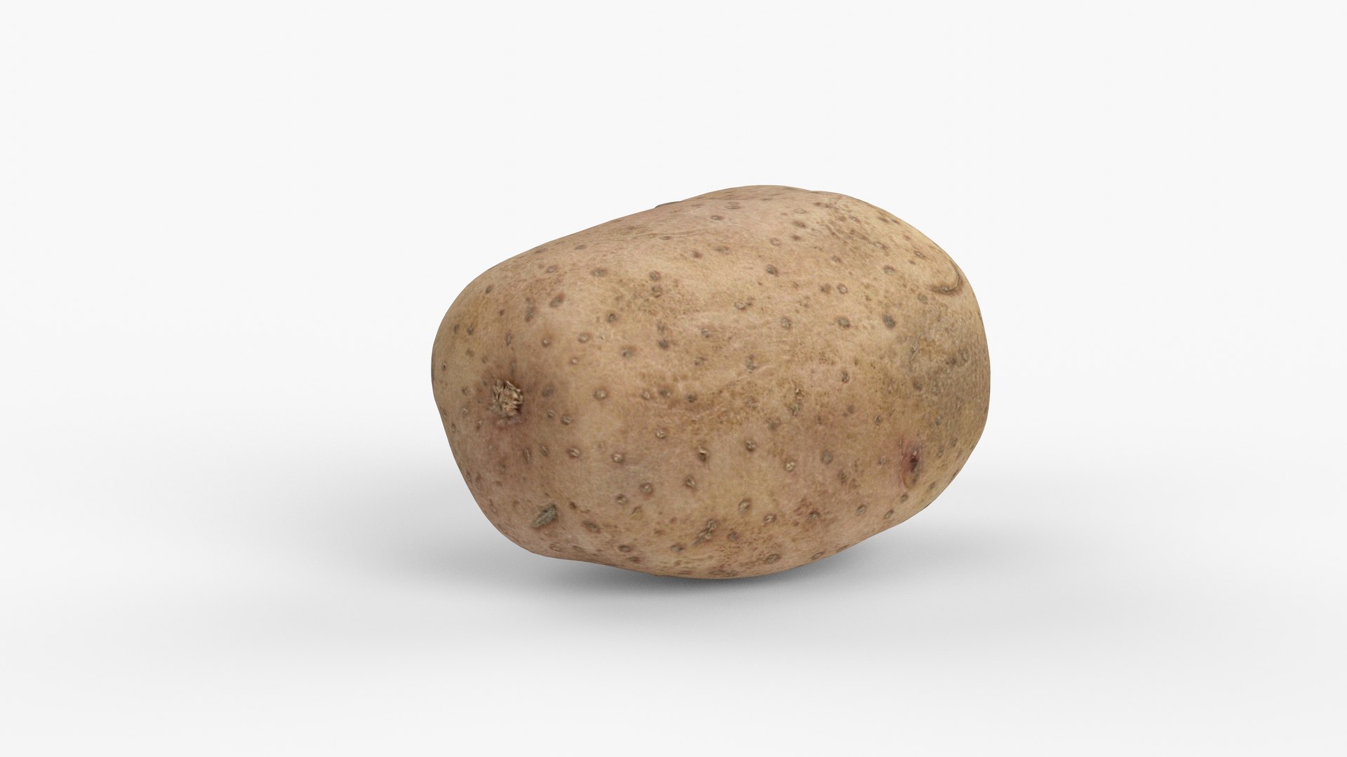 3D Photorealistic 3D Scan Of Potato - TurboSquid 2231913