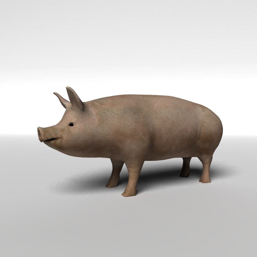 3D Farm Animals Model - TurboSquid 1186673