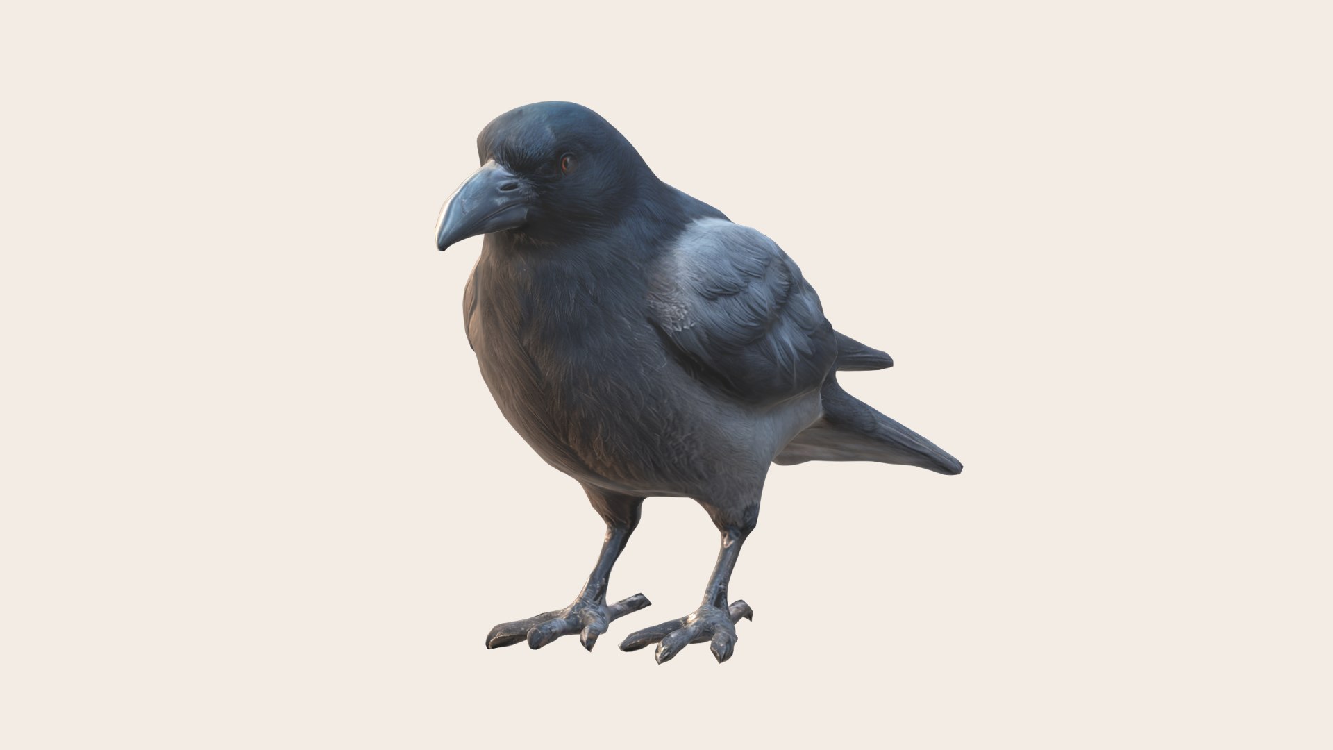 Crow 3D Model - TurboSquid 2232552