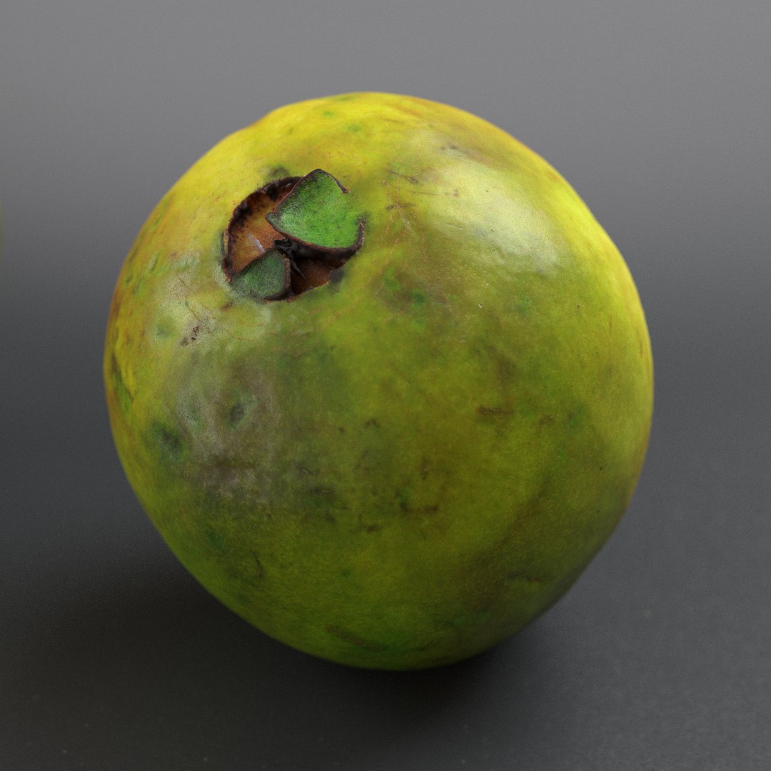 Guava Fruit 3D Model - TurboSquid 1289254