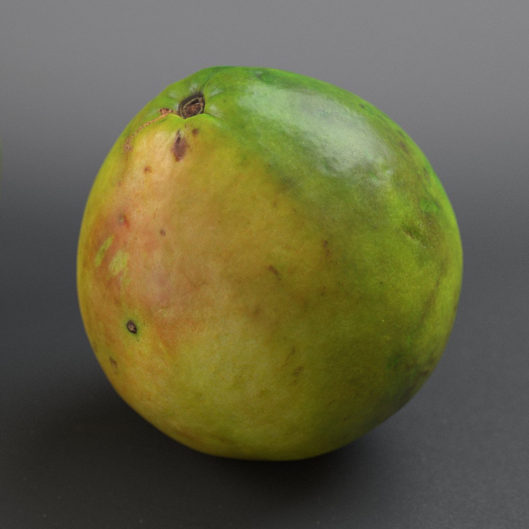 Guava Fruit 3D Model - TurboSquid 1289254