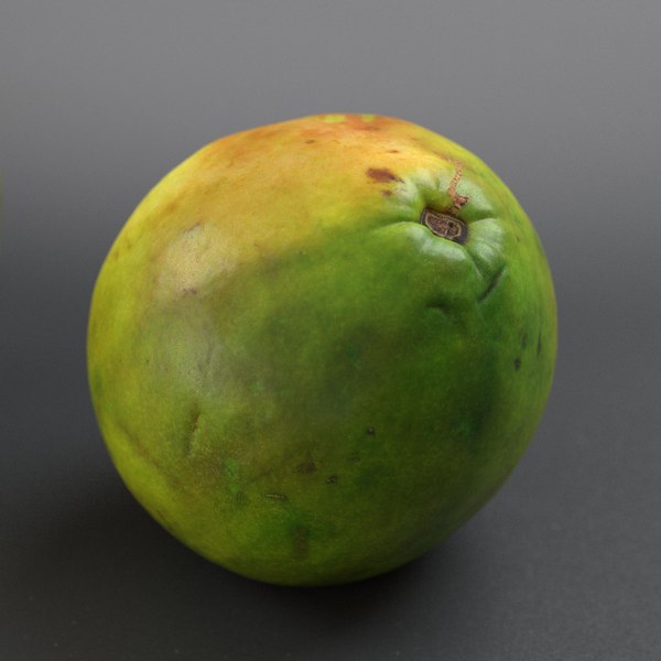 Guava fruit 3D model - TurboSquid 1289254