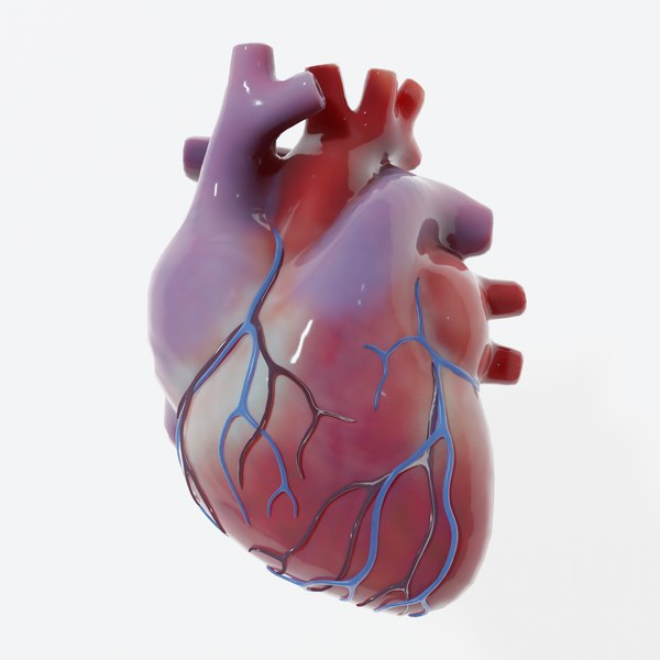 Modelos de 3D Corazon Gratis | TurboSquid