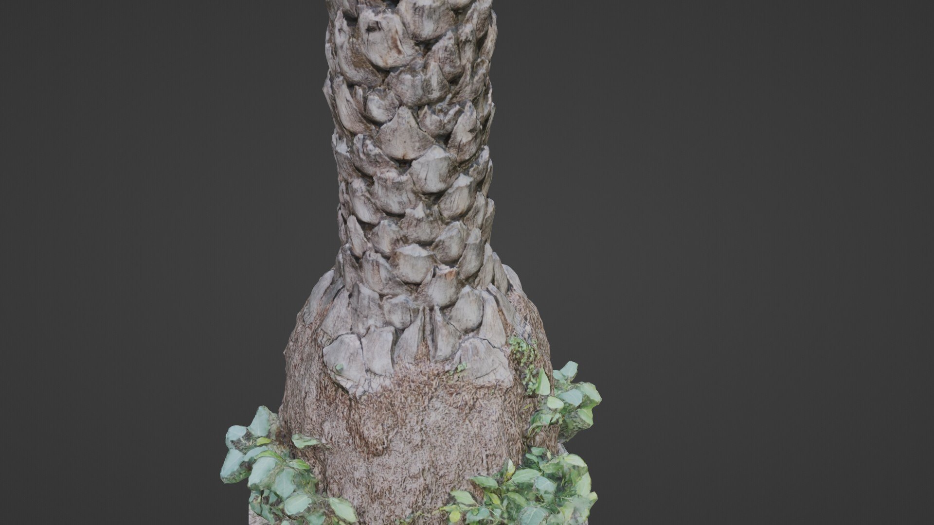 3D Palm Tree Model - TurboSquid 2329784