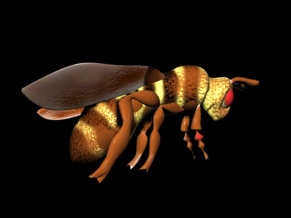 3d wasp model