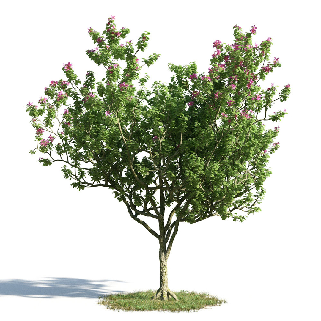 3d model of archmodels vol 154 plants trees
