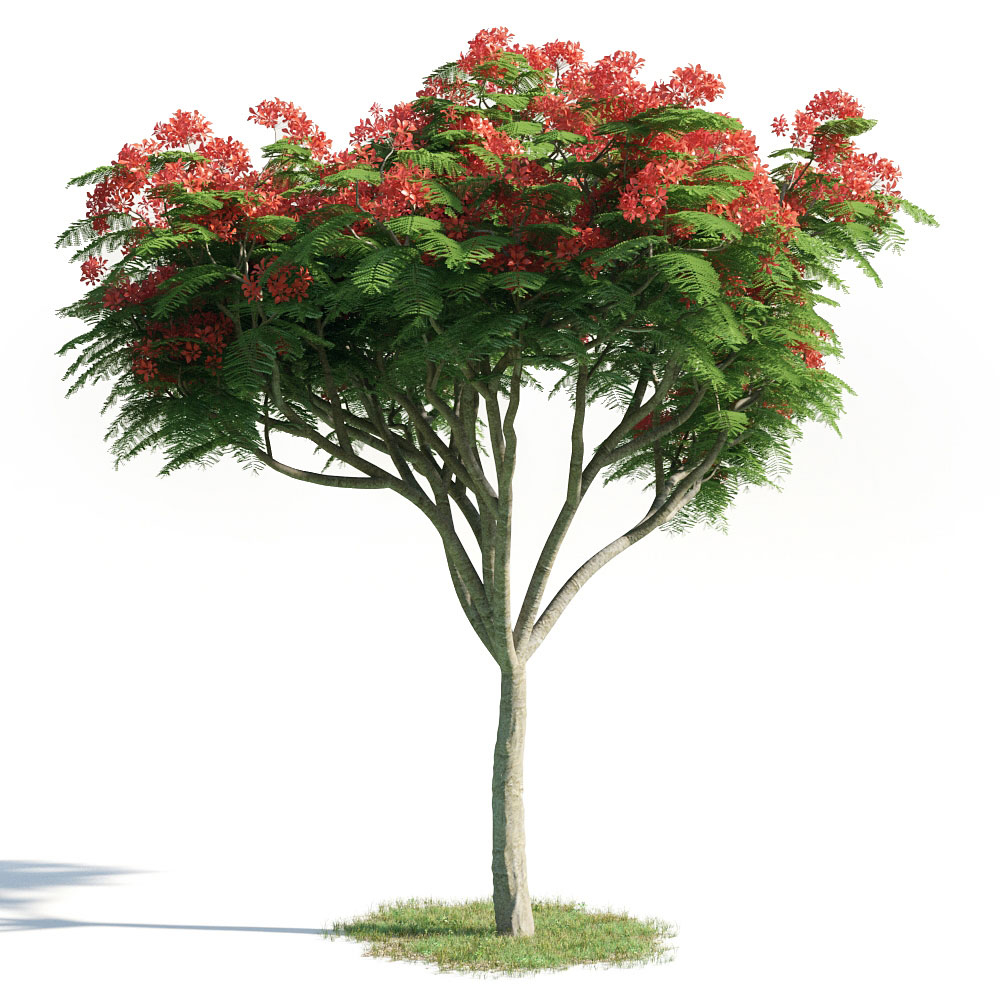 3d model of archmodels vol 154 plants trees