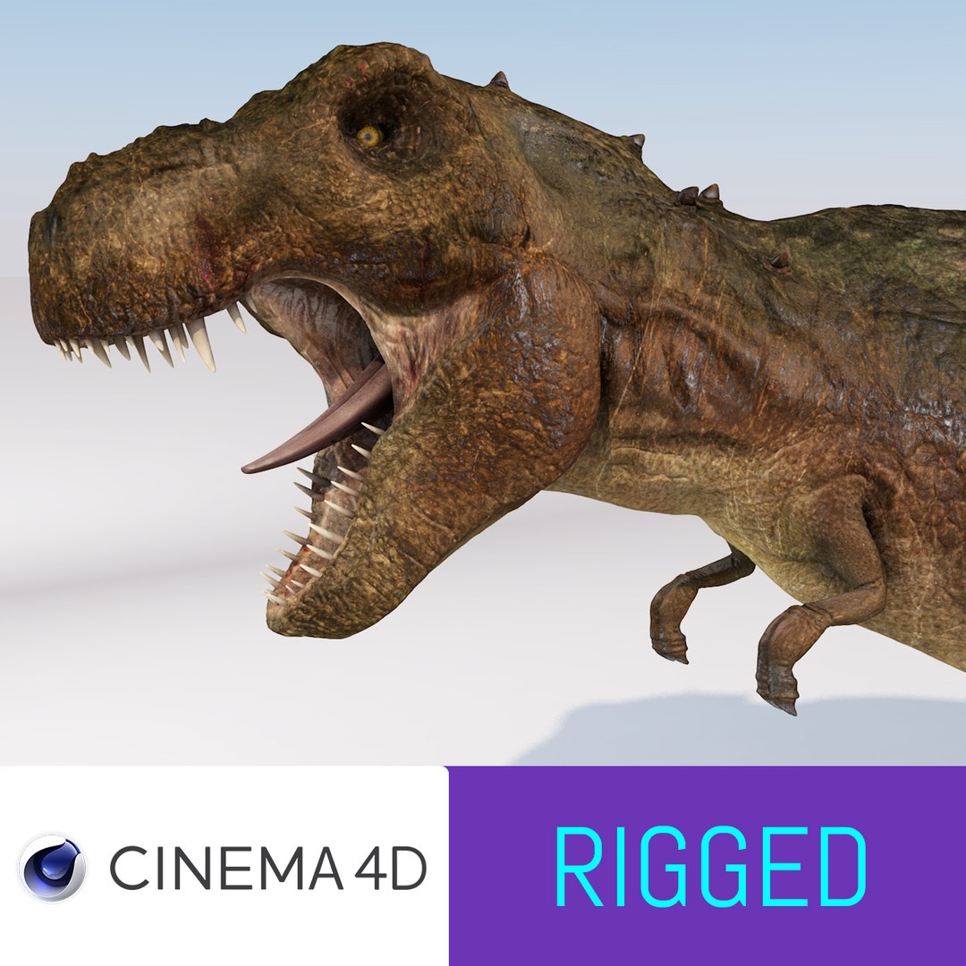 tyrannosaurus rex rigged modeled c4d
