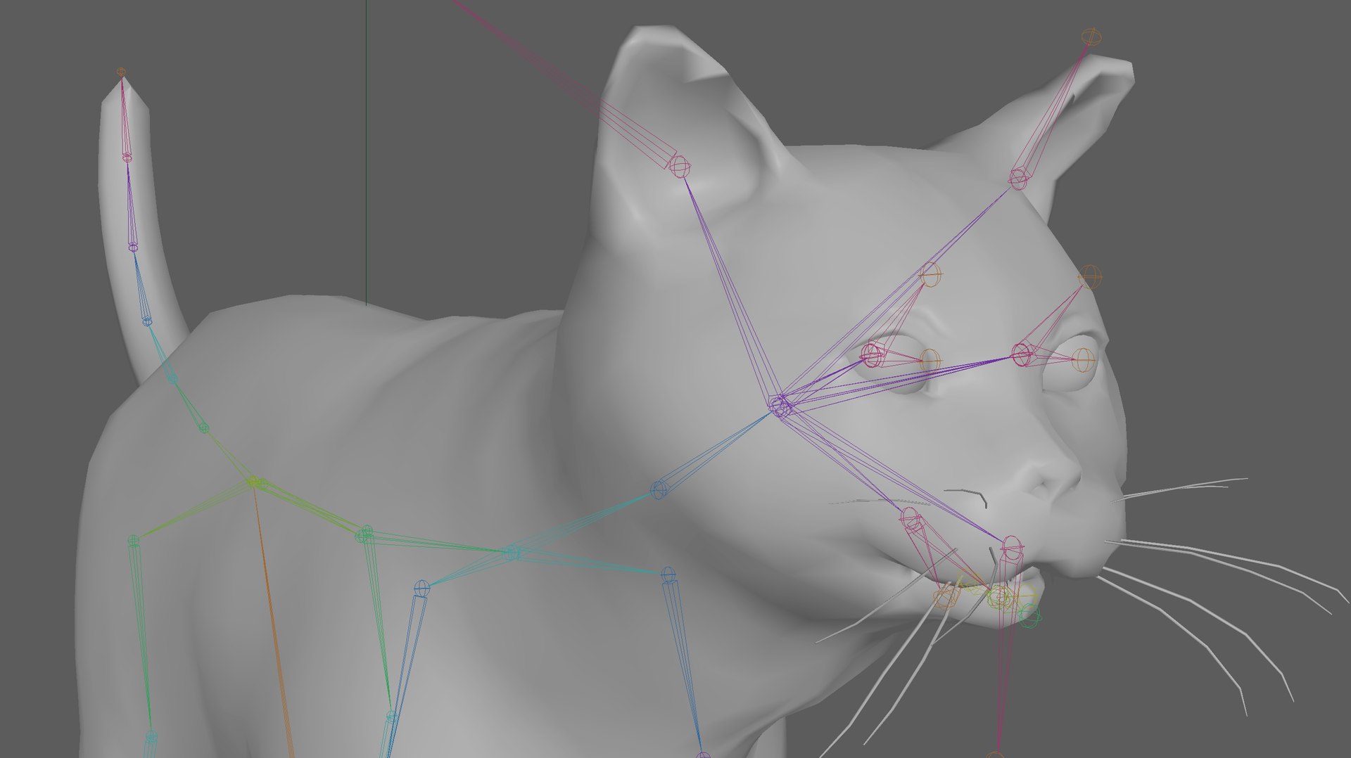 3D model Orange Cat Tabby - TurboSquid 2153833